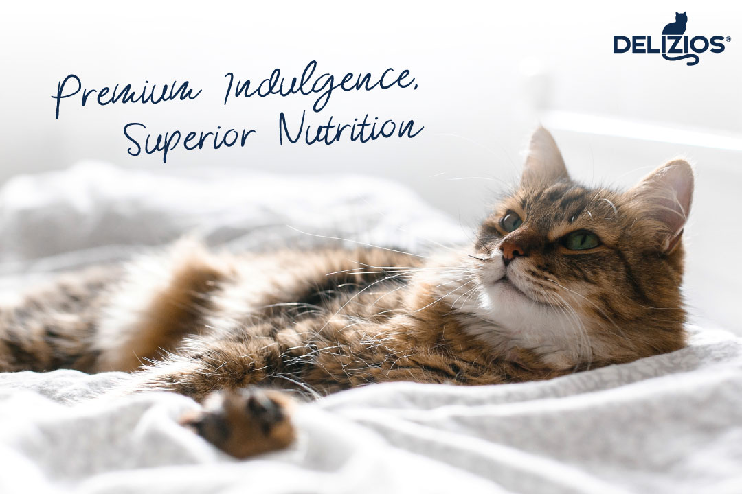 Delizios Dry Cat Food's New Irresistible Taste Brings Wholesome ...